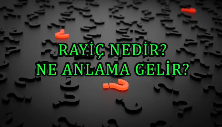 Rayiç Bedeli Ne Anlama Gelir? - Kamu İşi - Güncel Paylaşım Sitesi